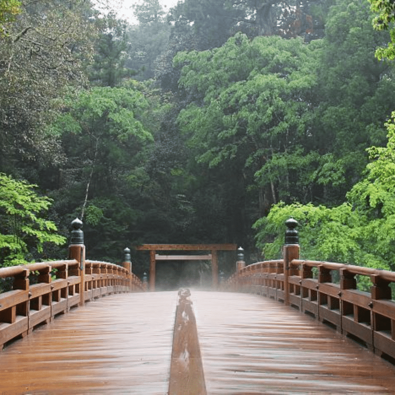 Lo Shintoismo: origini, credenze e pratiche